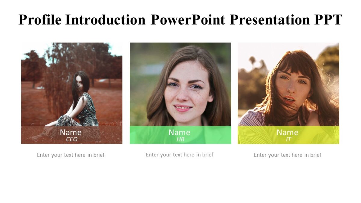 Profile Introduction PowerPoint Presentation PPT : 100% Editable PPTx