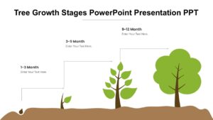 Tree Growth Stages PowerPoint Presentation PPT : 100% Editable PPTx