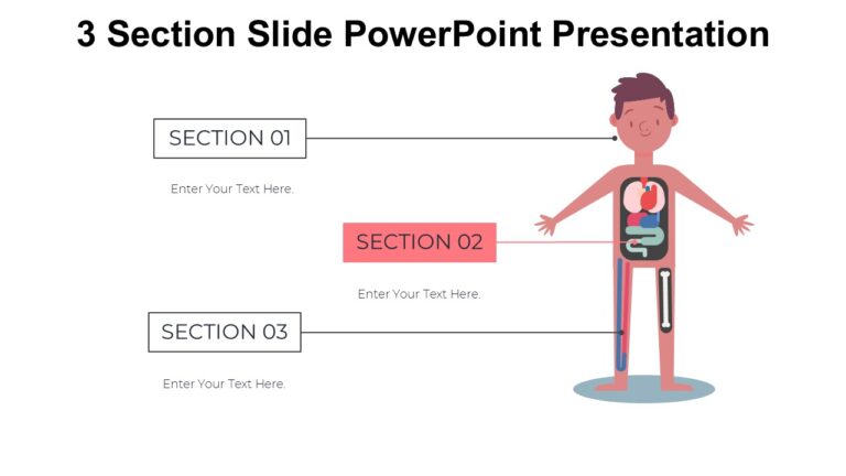 3 Section Slide PowerPoint Presentation - PPTUniverse