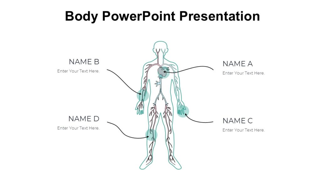 Body PowerPoint Presentation - PPTUniverse