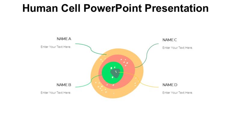 Human Cell PowerPoint Presentation - PPTUniverse