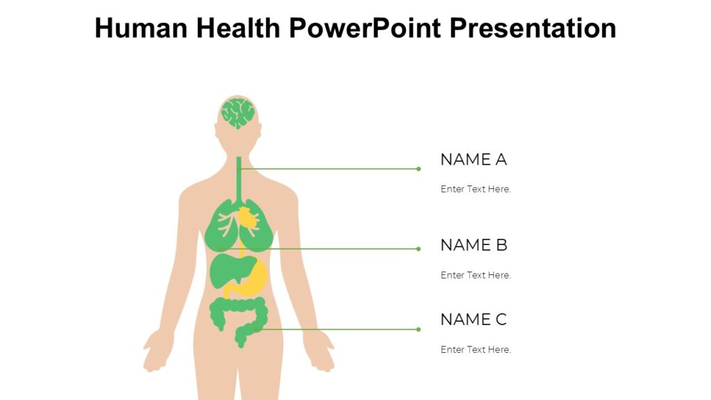 Human Health PowerPoint Presentation - PPTUniverse