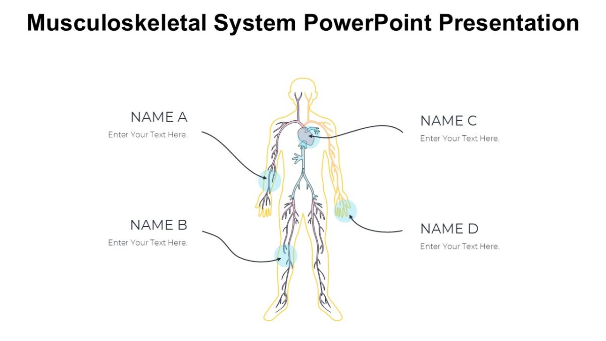 Musculoskeletal System PowerPoint Presentation : 100% Editable PPTx