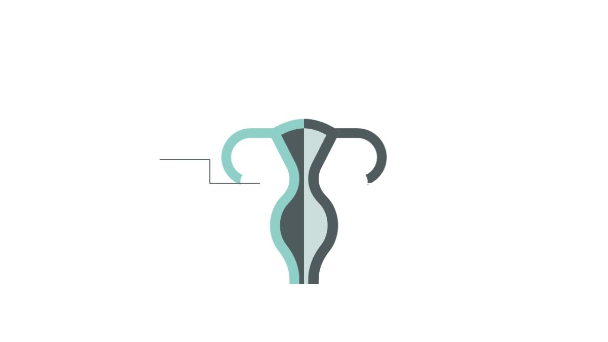 Reproductive Health PowerPoint Presentation : 100% Editable PPTx