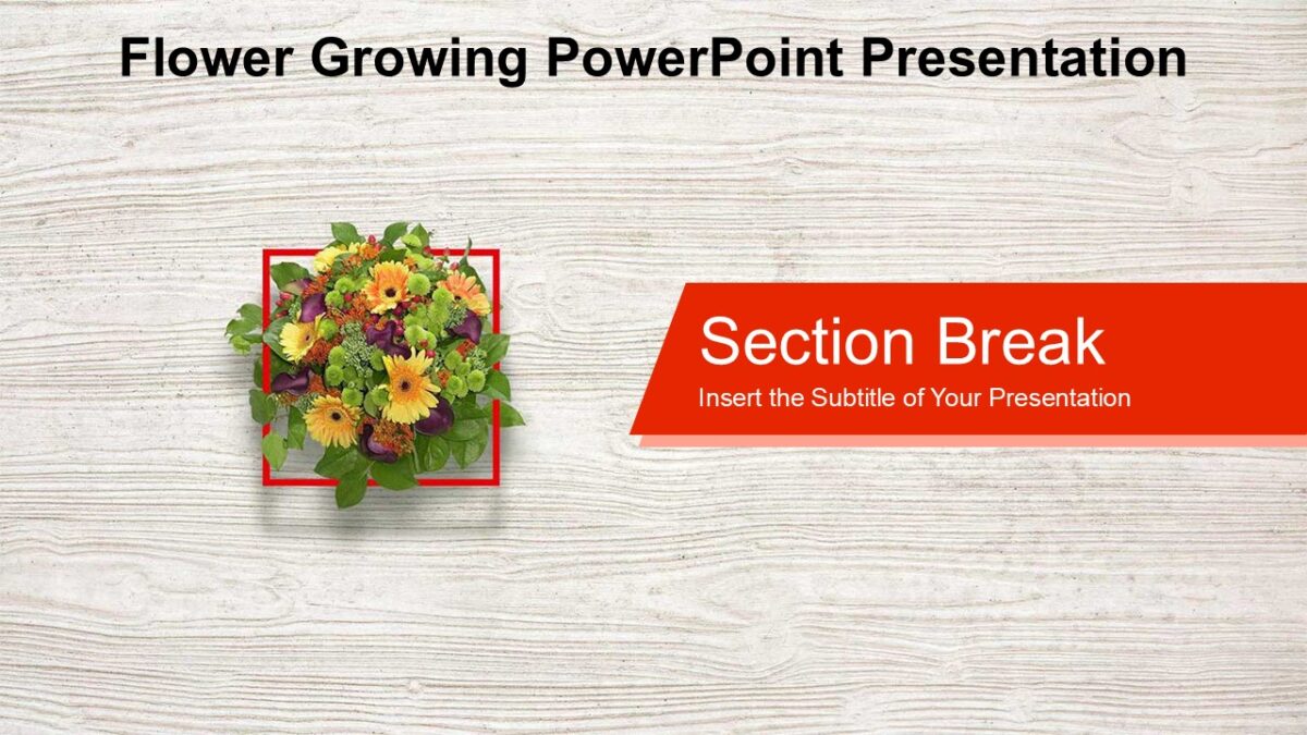 Flower Growing PowerPoint Presentation : 100% Editable PPTx