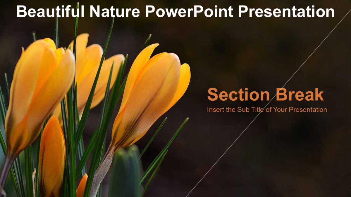 Beautiful Nature PowerPoint Presentation : 100% Editable PPTx