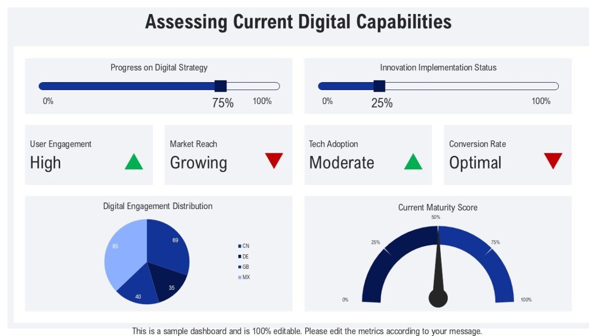 Digital Roadmap for Future Growth : 100% Editable PPTx