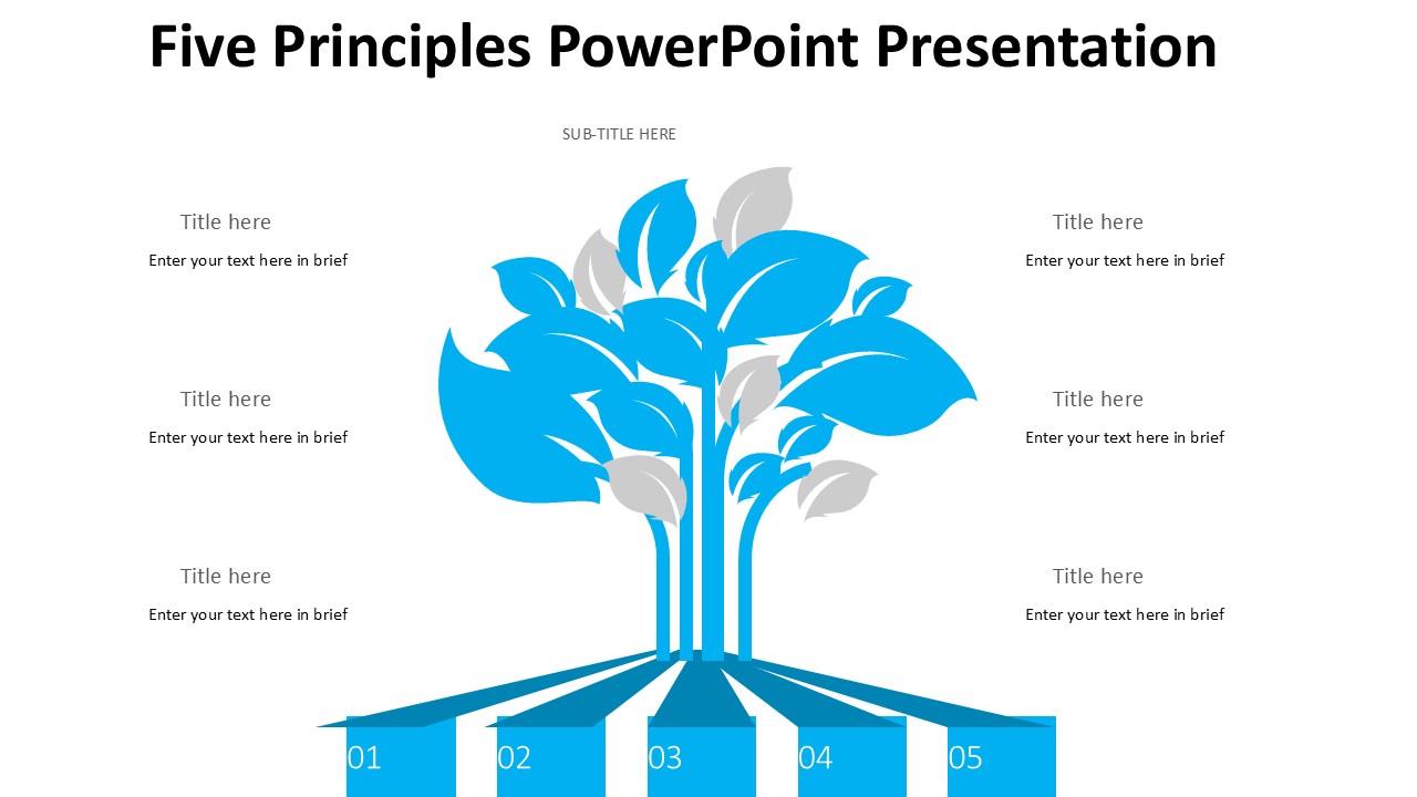 Five Principles PowerPoint Presentation - PPTUniverse
