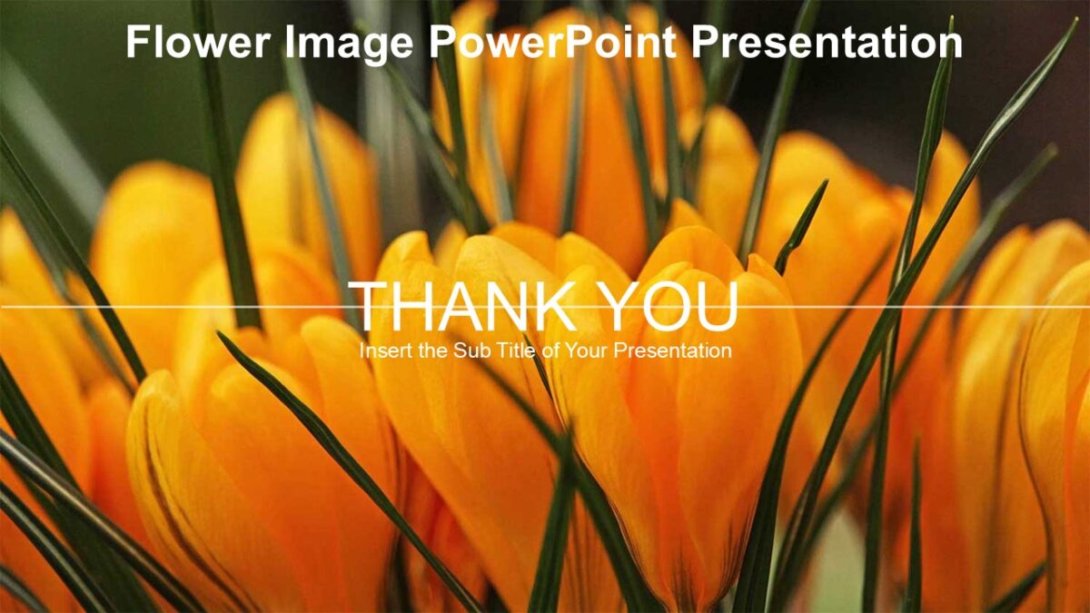 Flower Image PowerPoint Presentation - PPTUniverse