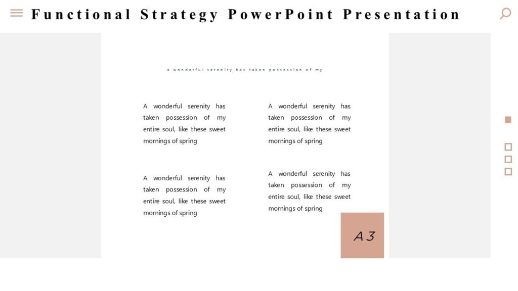 Functional Strategy PowerPoint Presentation - PPTUniverse