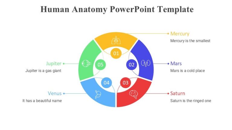 Human Anatomy PowerPoint Template : 100% Editable PPTx