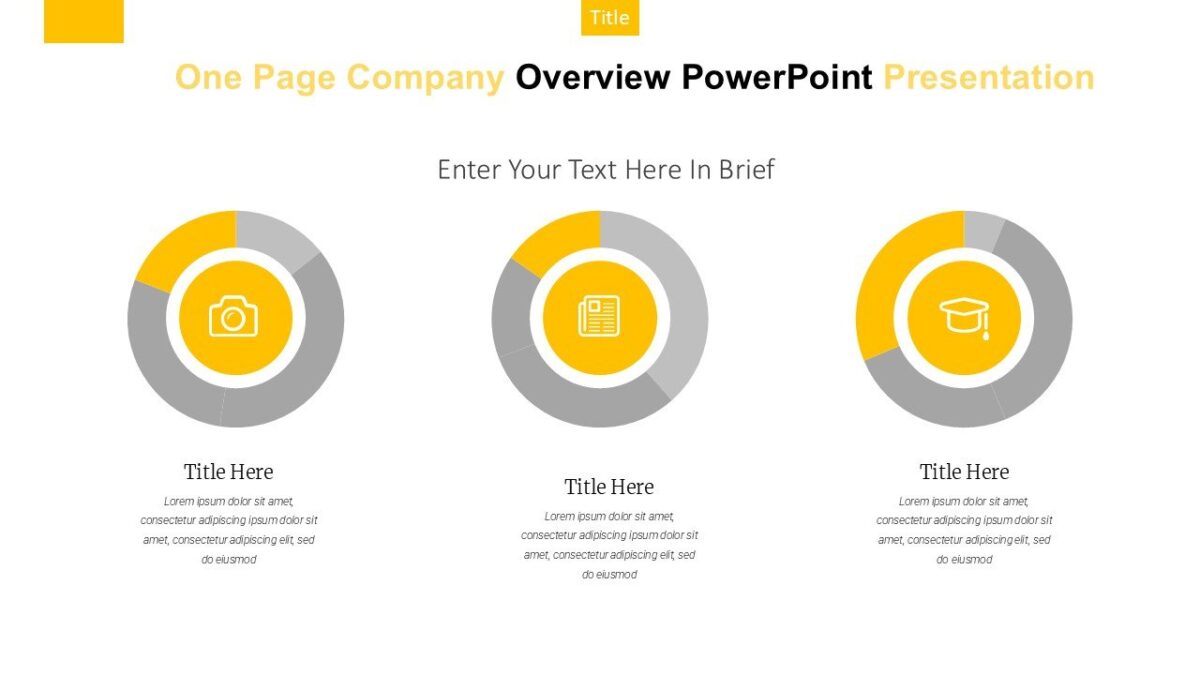 One Page Company Overview PowerPoint Presentation - PPTUniverse