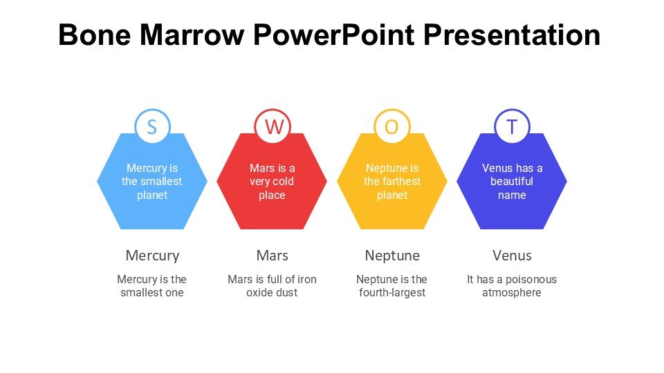 Bone Marrow PowerPoint Presentation : 100% Editable PPTx