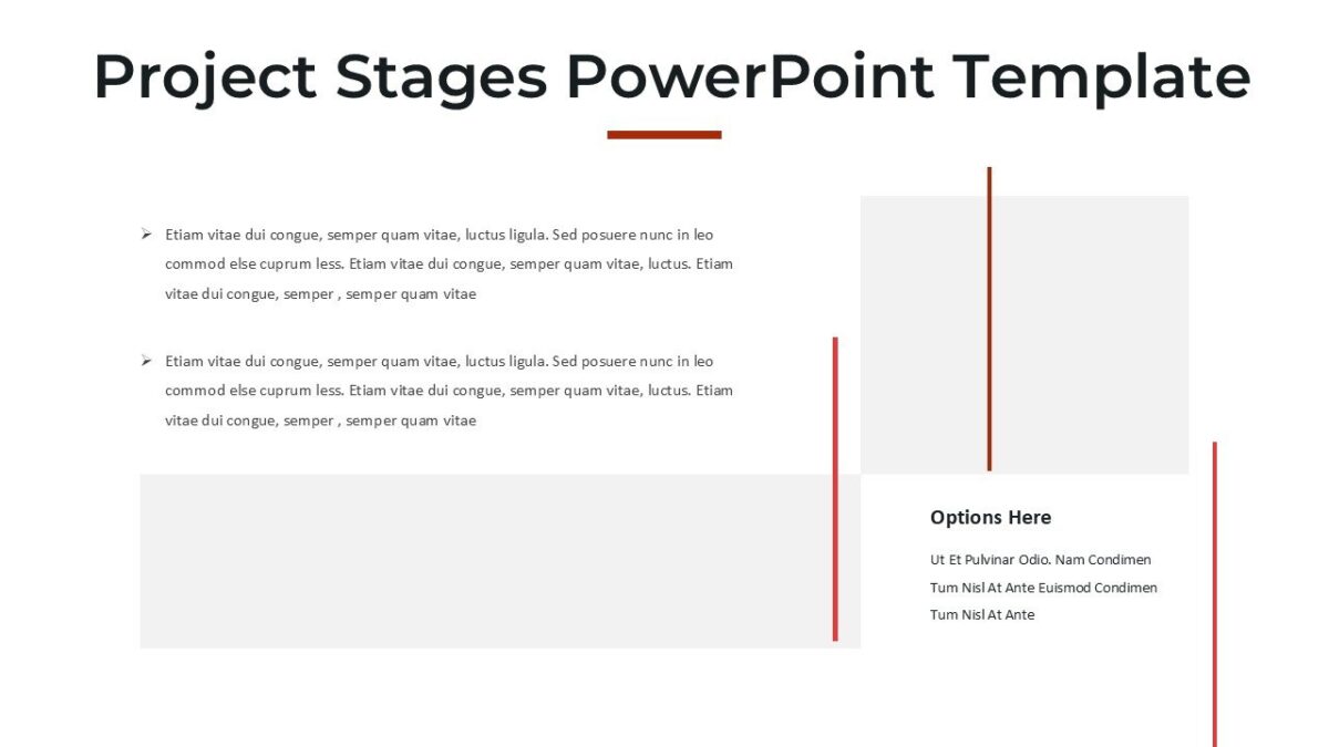 Project Stages PowerPoint Template : 100% Editable PPTx